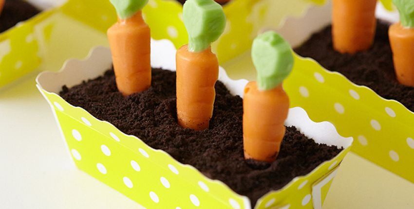 Mini cake à la carotte & potager de carottes // Enfants & Parents ...